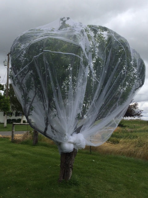 Kootenay Cover 8ft cube – Fruit Tree Covers